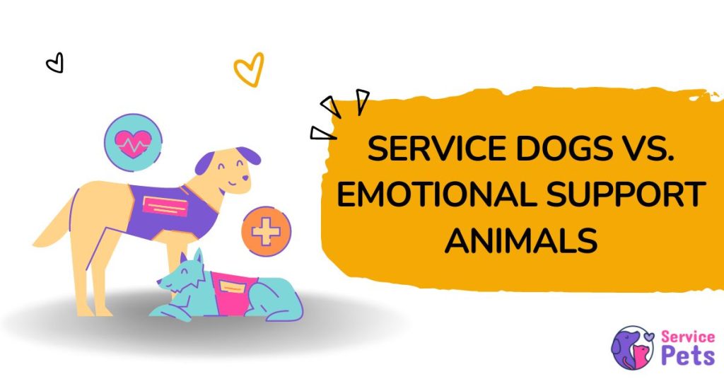 PSD vs ESA - Differences Between Psychological vs. Emotional Support ...