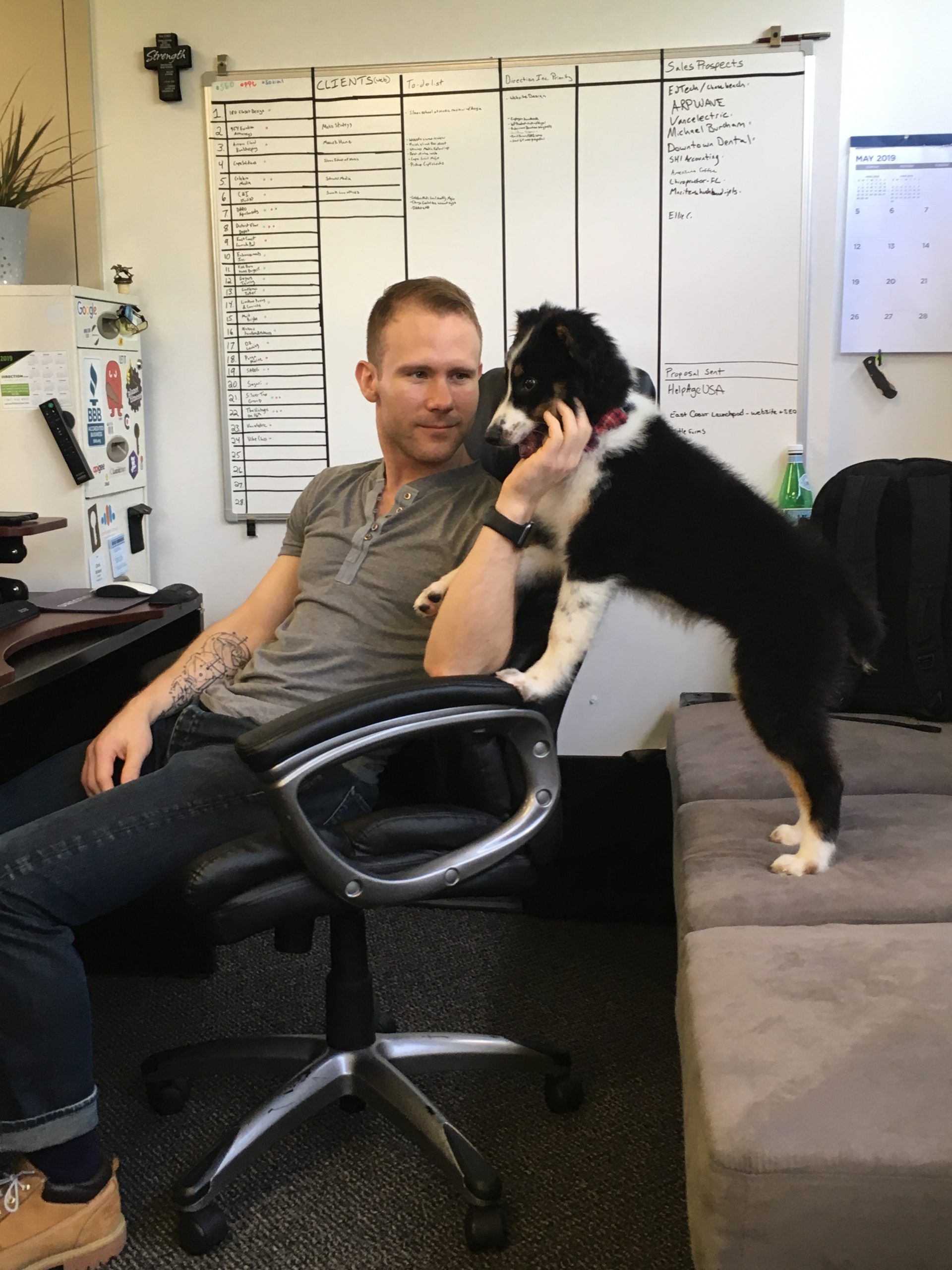 California ESA Letter Registration Fast, Easy, 95% Approvals