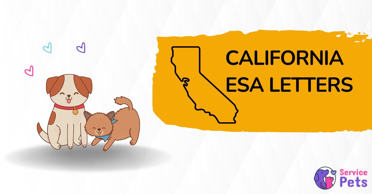 California ESA Letter Registration Fast, Easy, 95% Approvals
