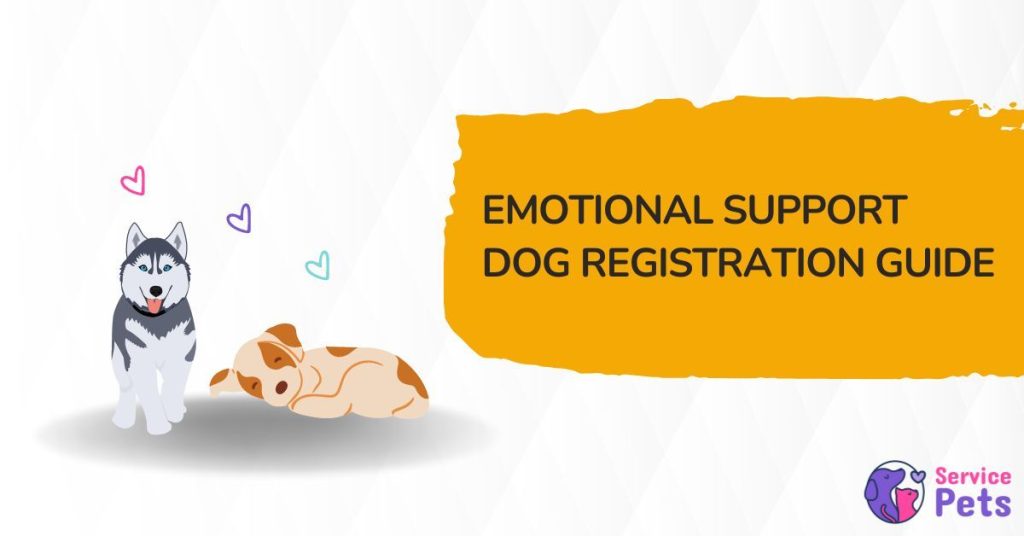 Emotional Support Dog Registration: A Comprehensive Guide | Service Pets
