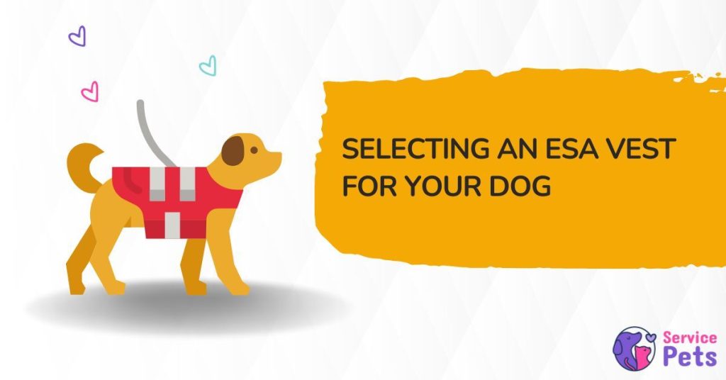 Selecting the Ideal Emotional Support Dog Vests | Service Pets