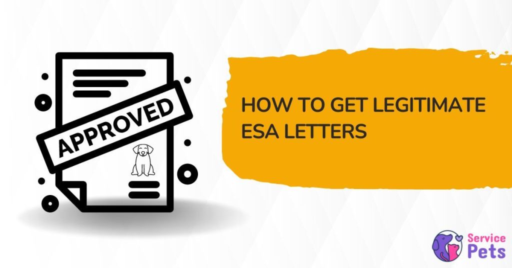 Obtaining a Legitimate ESA Letter: A Comprehensive Guide | Service Pets
