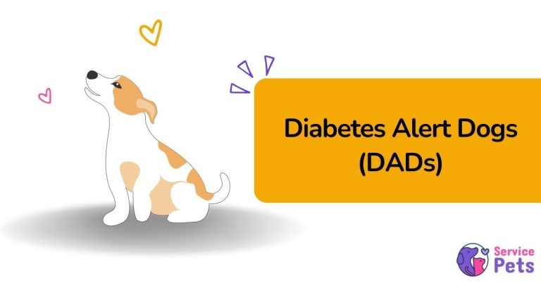 Diabetes Service Dogs: Do They Really Help Diabetes Management ...