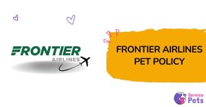 Frontier Airlines Pet Policy: 3 Latest Flight Rules Uncovered